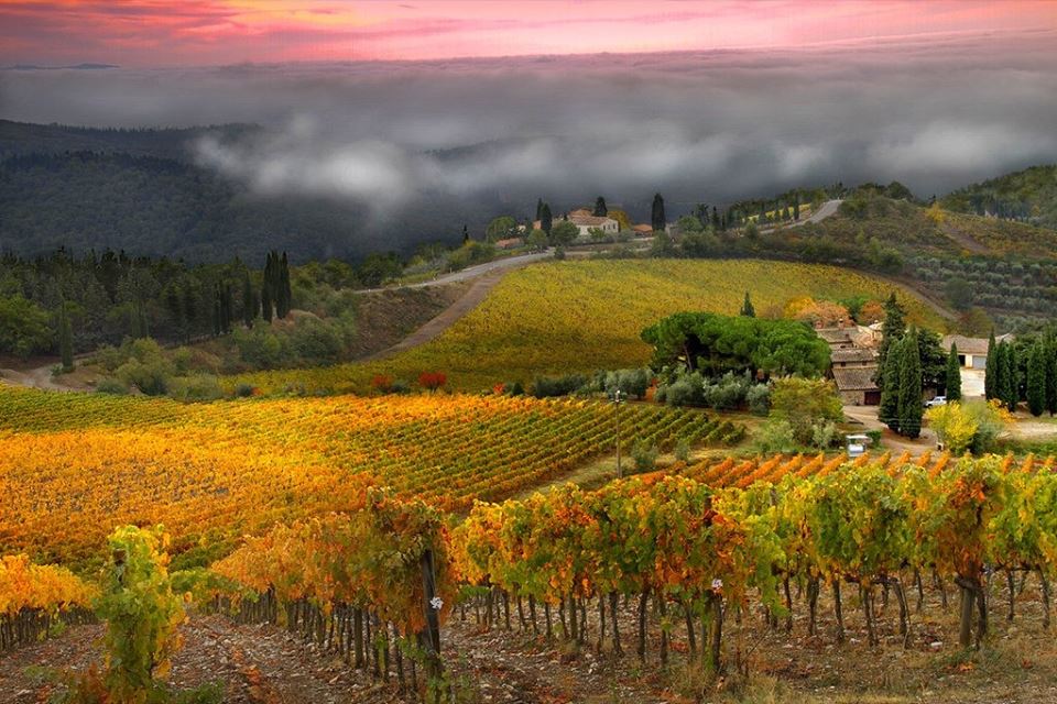 New Tuscan Experience Blog: The Best Time to Visit Tuscany: can even be ...