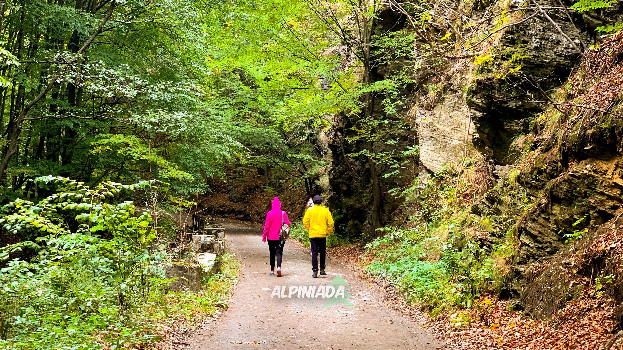 ALPINIADA: Traseu usor spre Cascada Lotrişor