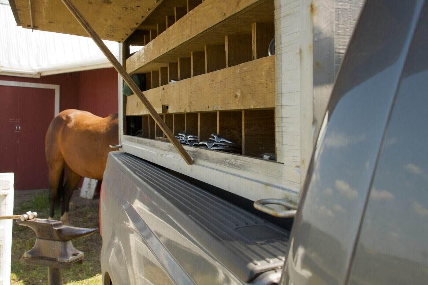 How to Choose a Farrier Rig