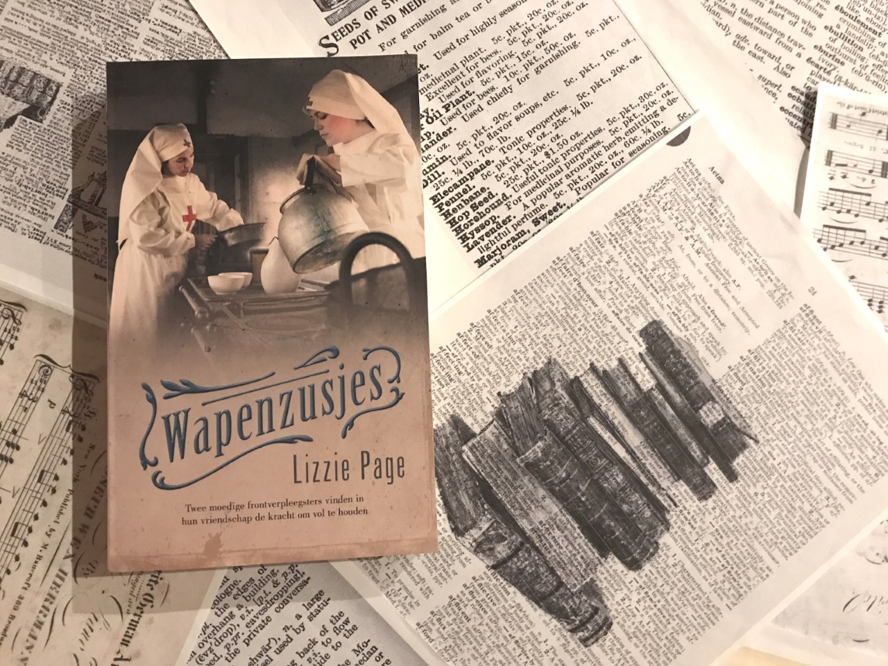 wapenzusjes - lizzie page - Alexs books and socks