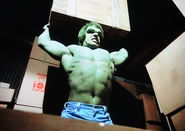 MUSINGS OF A SCI-FI FANATIC: The Incredible Hulk S1 Ep6: Terror In ...