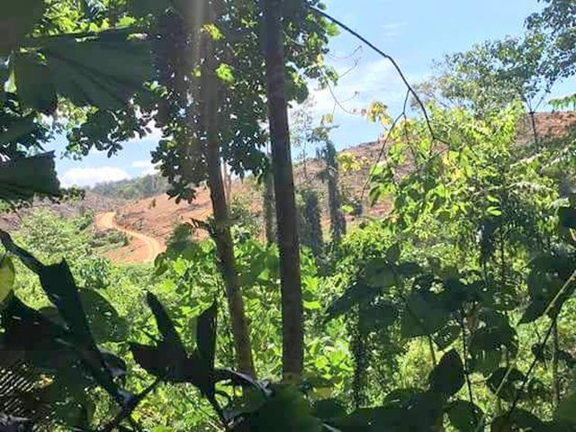 mountdweller88: Kerakusan membalak di Kelantan: Pusat arkeologi Gua Cha ...