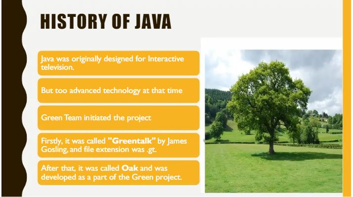 studyskymate : Java History