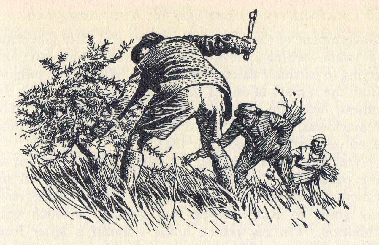 Raymond Sheppard and The Man-Eating leopard of Rudraprayag by Jim ...