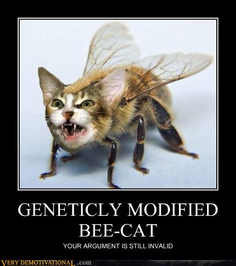 YOUR ARGUMENT IS INVALID meme collection