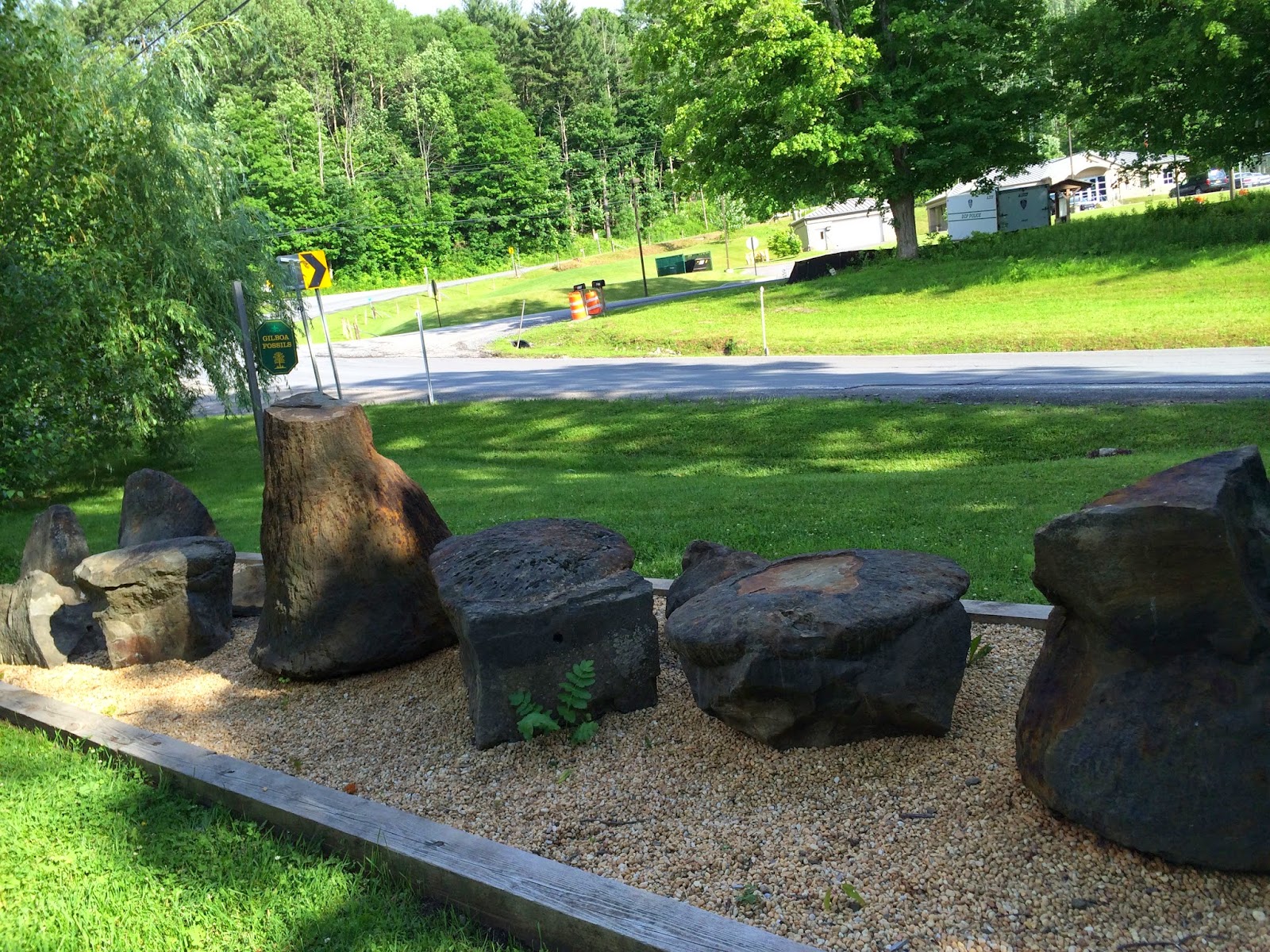 venturing4th: Gilboa Forest