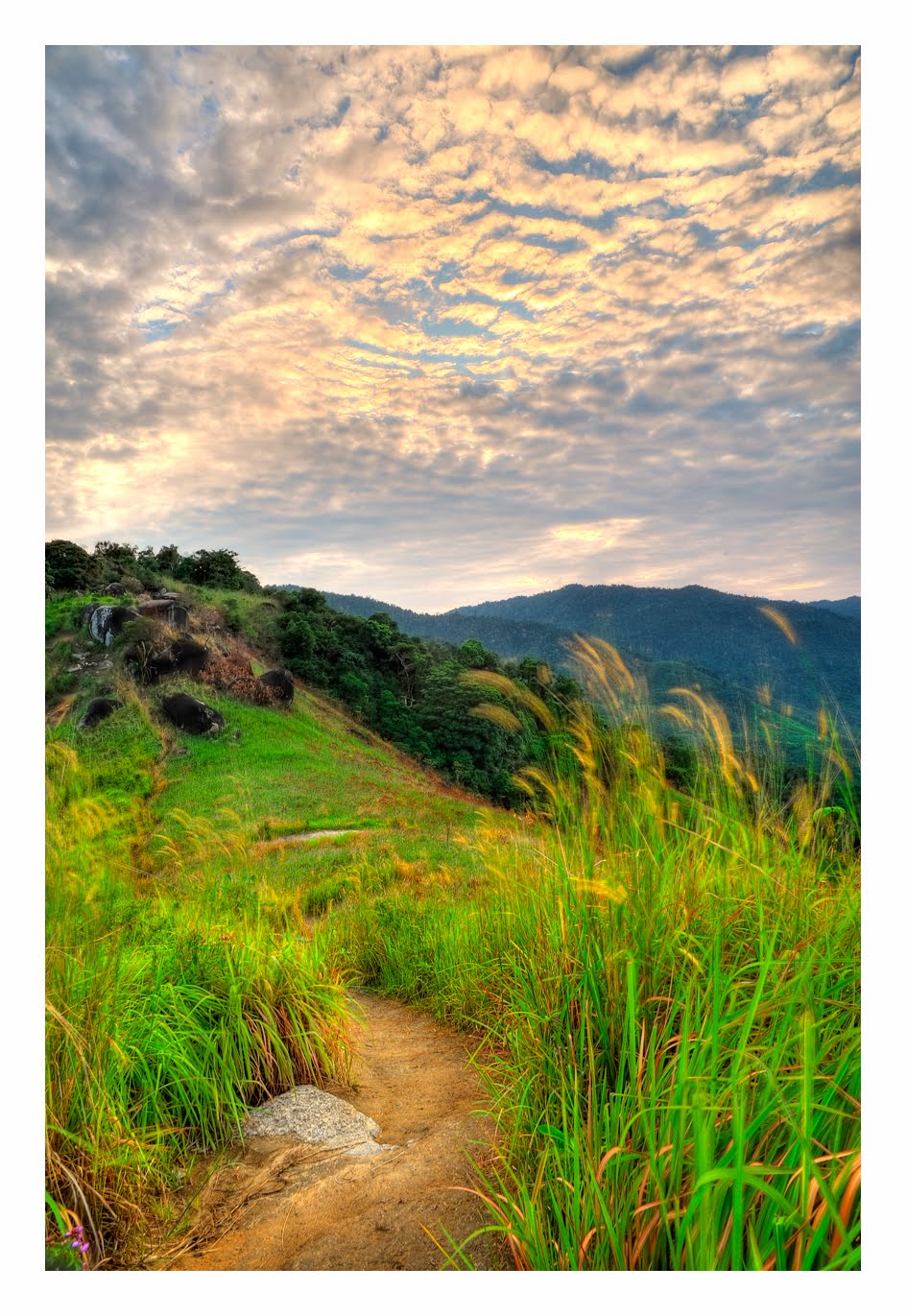 all about indomee: Bukit Broga / Broga Hill @ semenyih