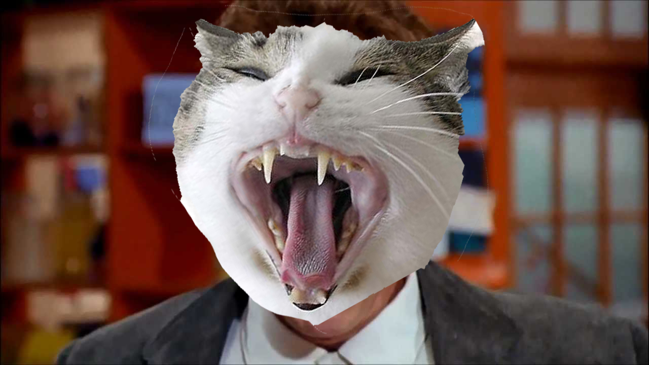 Davis Ong computer graphics and design: Yelling Cat