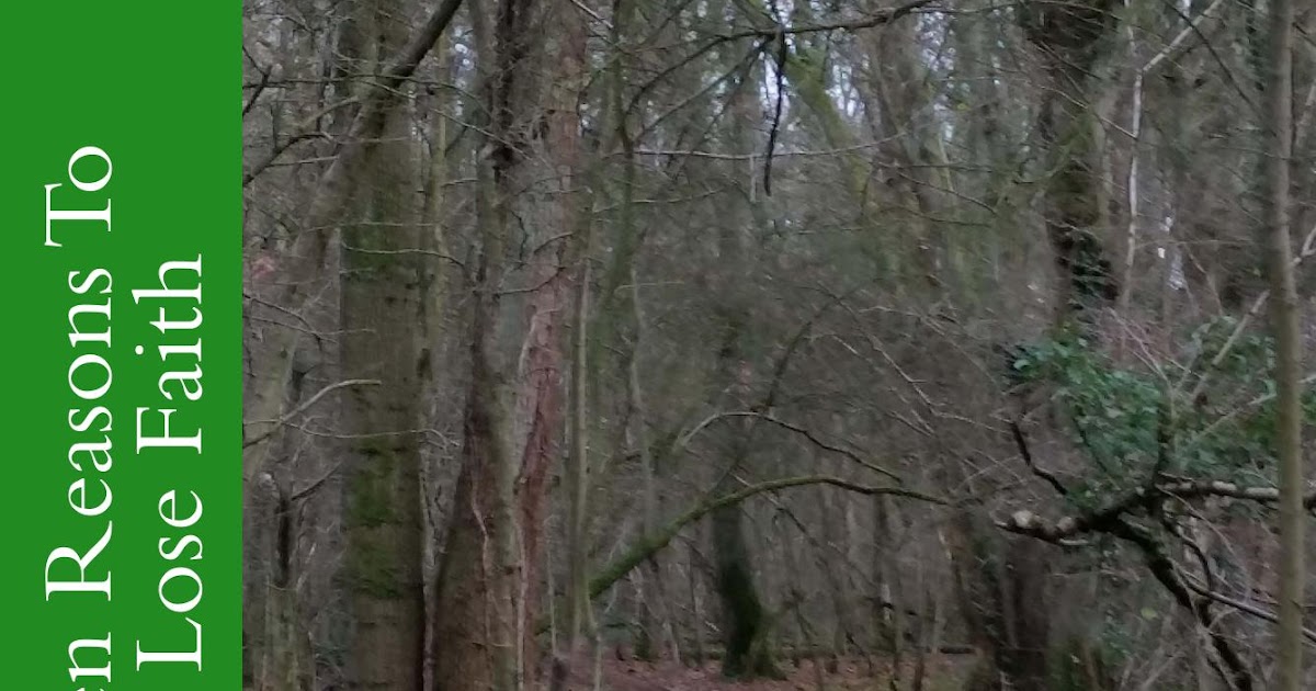 Rosa Rubicondior: Americans Losing Faith