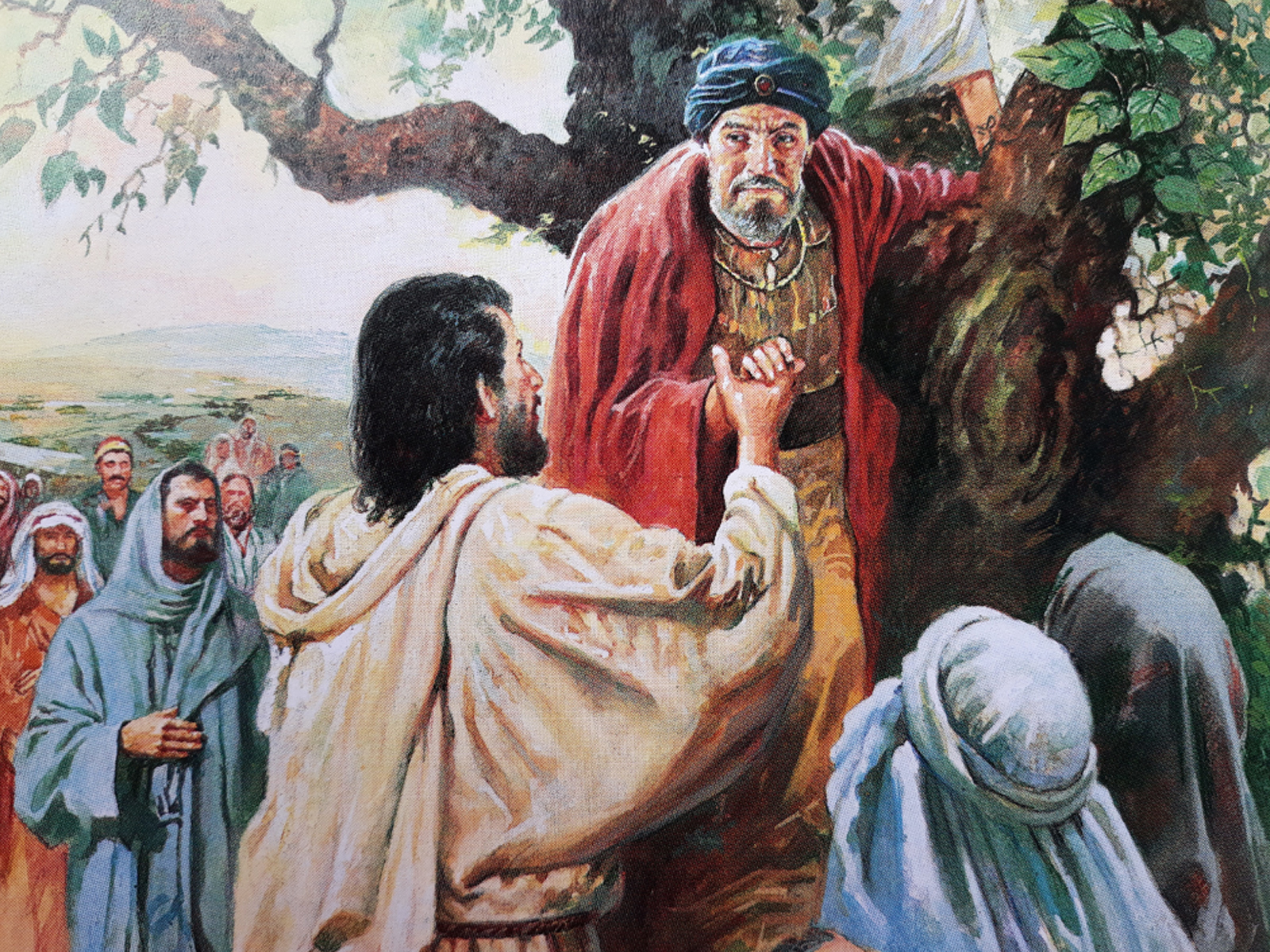 Blog Católico de Javier Olivares, jubilado: COMENTARIO: ZAQUEO DESEABA ...