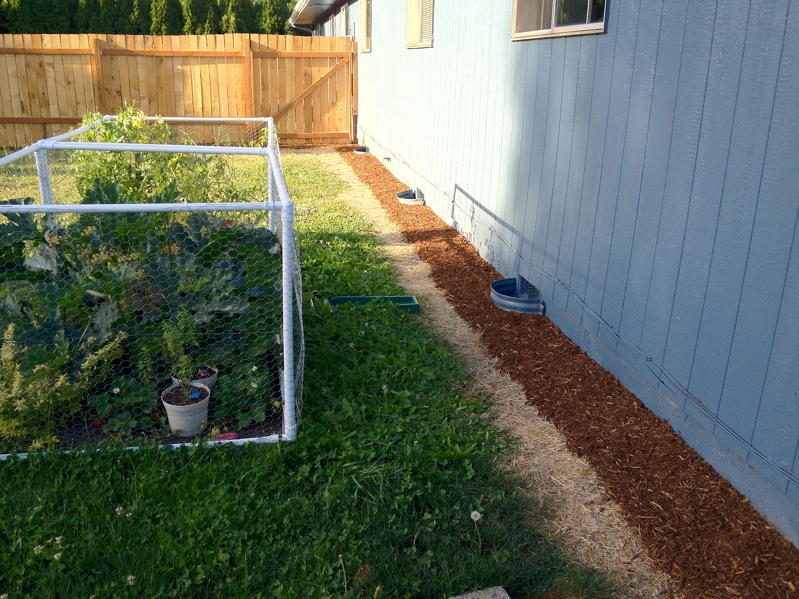 Outside the Rat Race: Fence Project