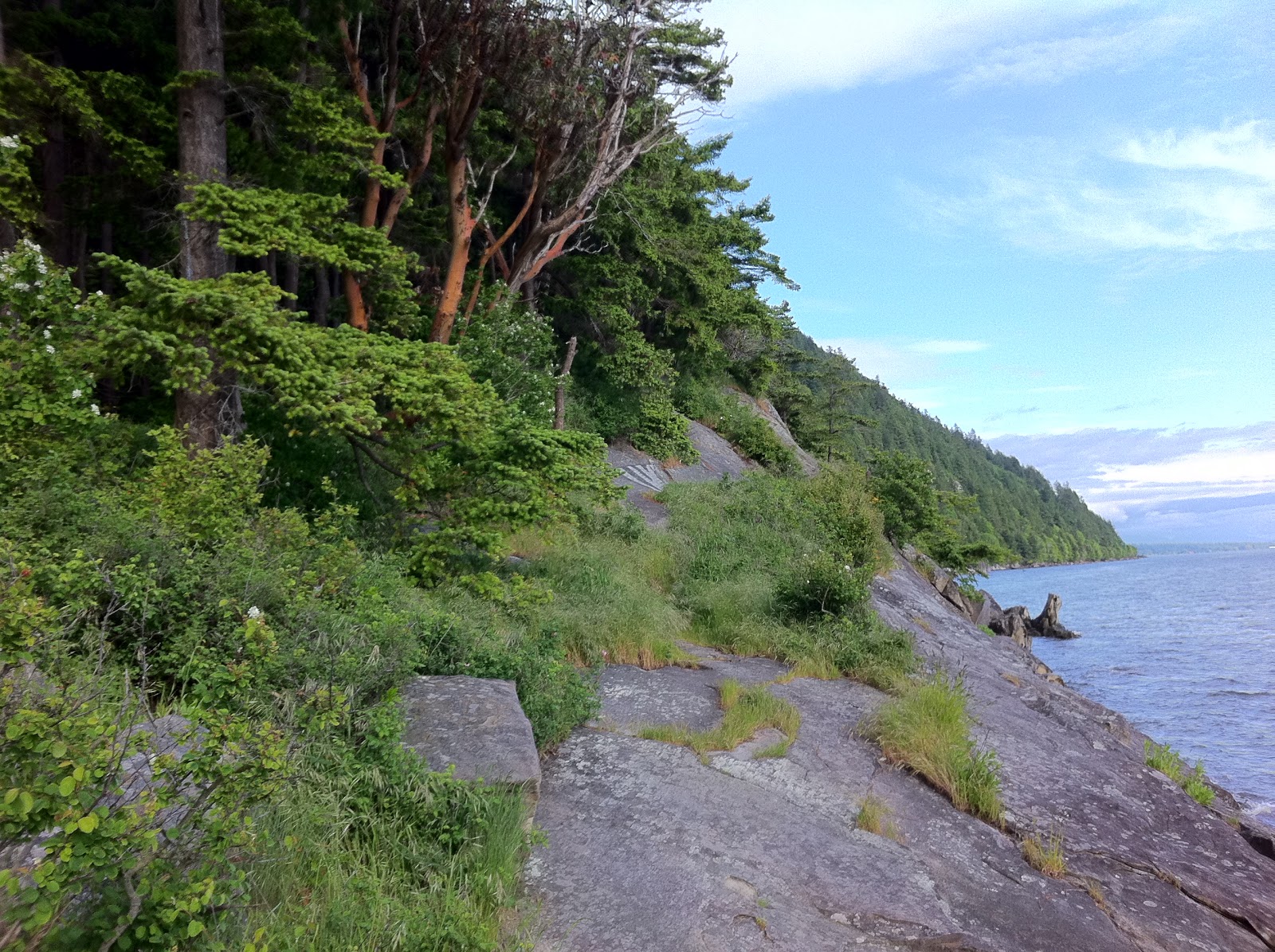 *Solitaire*: マウンテンバイキング ＠ Chuckanut Mountain beach trail!