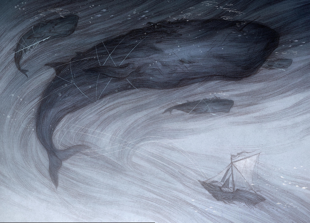 Picture Book Party: The Jacket – Interview with illustrator Thea Baker