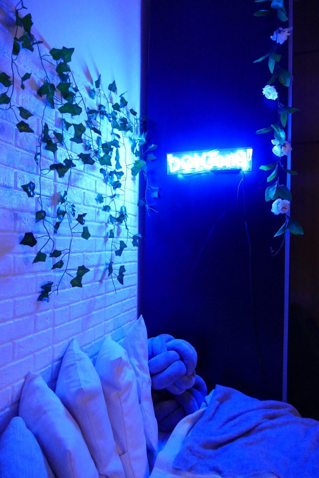 The Best Neon Lights For Your Bedroom- Naaaaaaa Review - fantail flo
