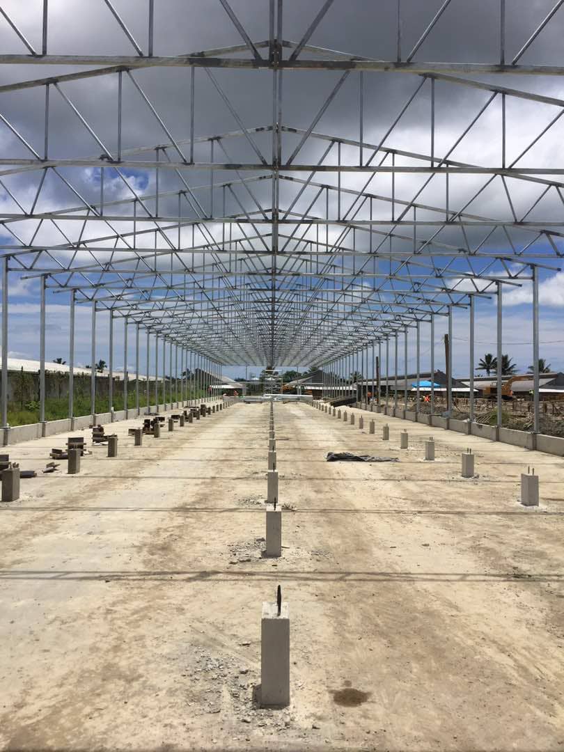 Reban Ayam Daging - AubriekruwFreeman