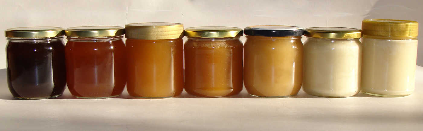 Gartenzone: Die Imkerei