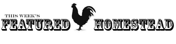 Homestead Revival: Barn Hop #63