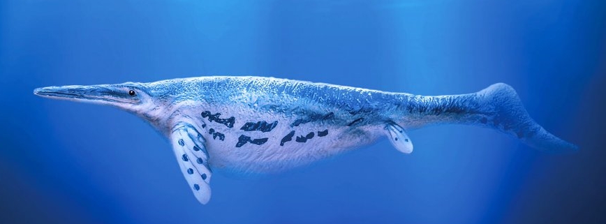 a mesozoic field guide: The Late Triassic