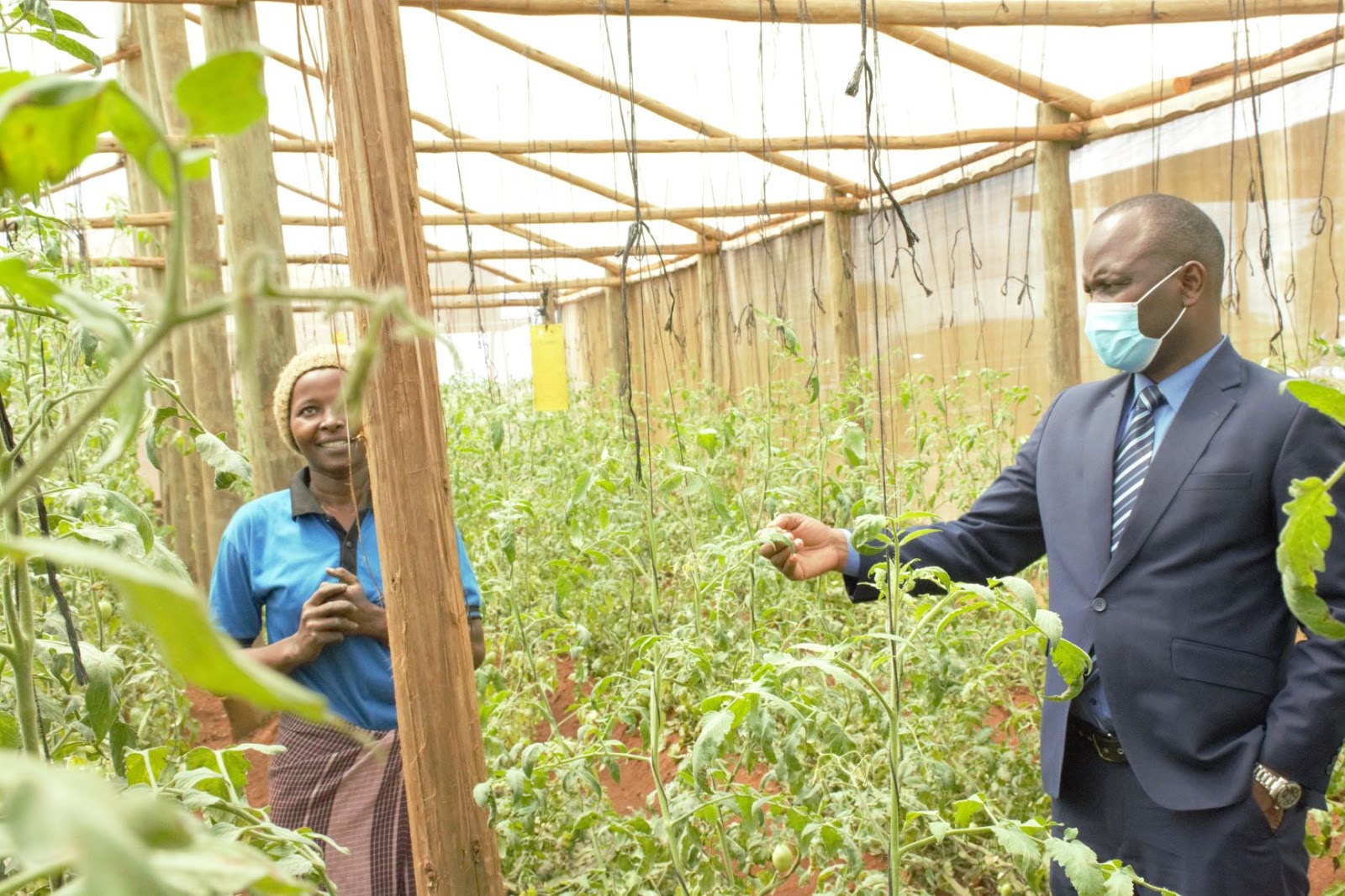 KUSAYA,VIJANA JIFUNZENI KILIMO BIASHARA ~ WAZO HURU