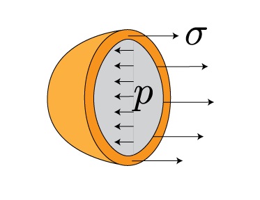 Stress in a thin walled Pressure Vessels - Mechanical Engineering