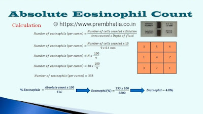 10+ Absolute Eosinophil Count Calculator - RhudiAnnaleigh