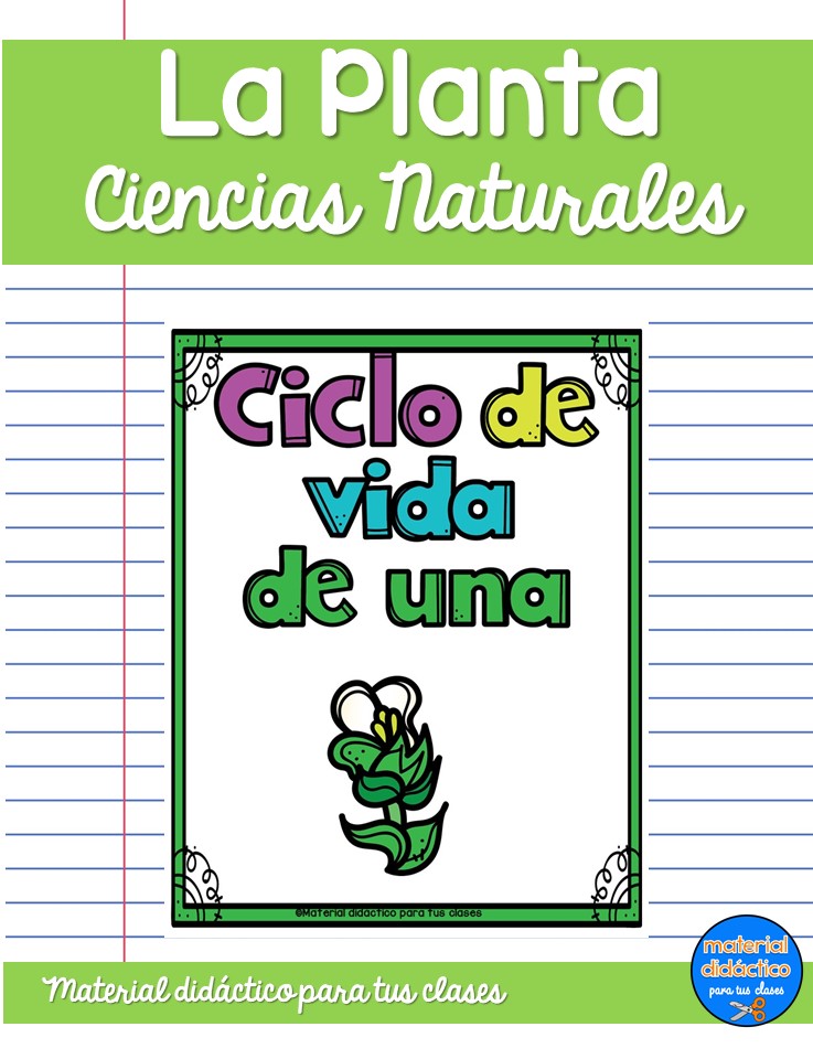Ciclo de la vida de diferentes seres vivos - Material Didactico para ...