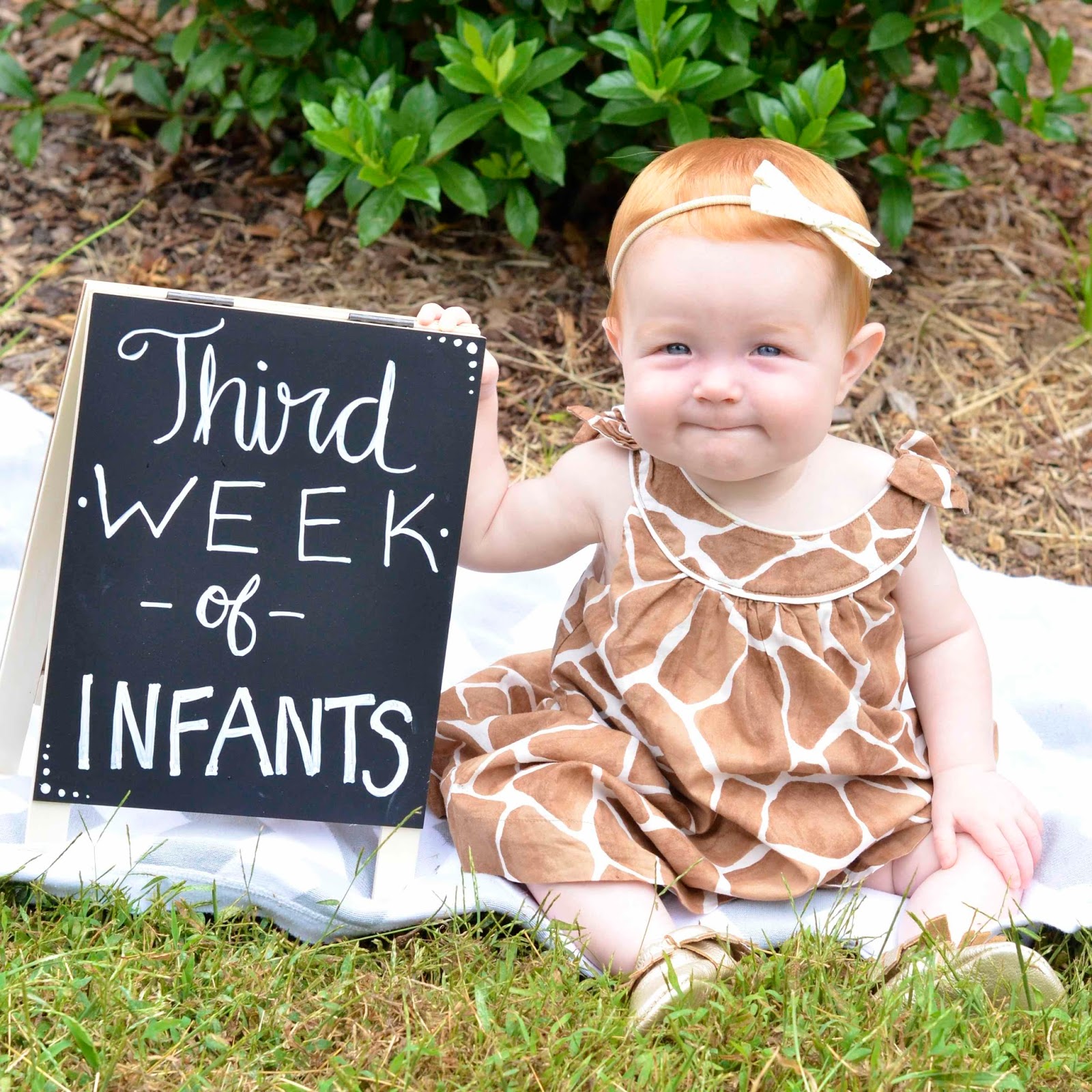 Love Like Crazy: Third Week of School