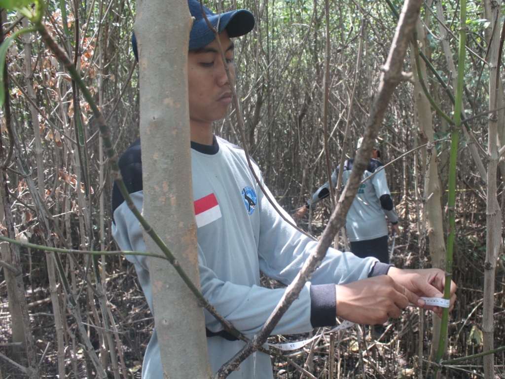 KeSEMaTBLOG: KeSEMaT Sukses Gelar Mangrove Training 2019: Program ... KeSEMaTBLOG: KeSEMaT Sukses Gelar Mangrove Training 2019: Program ...