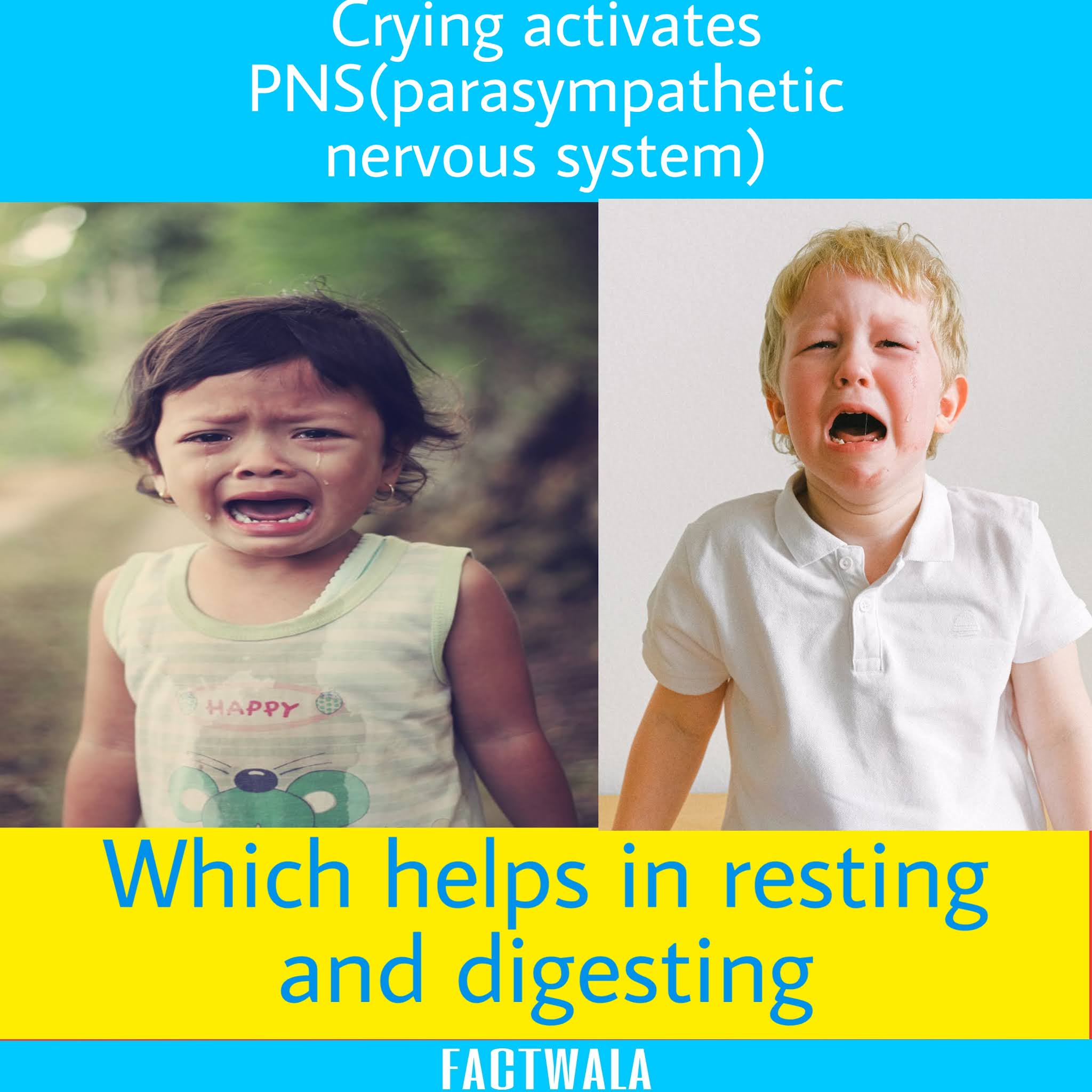 5 best facts on importance of crying and it's advantages.