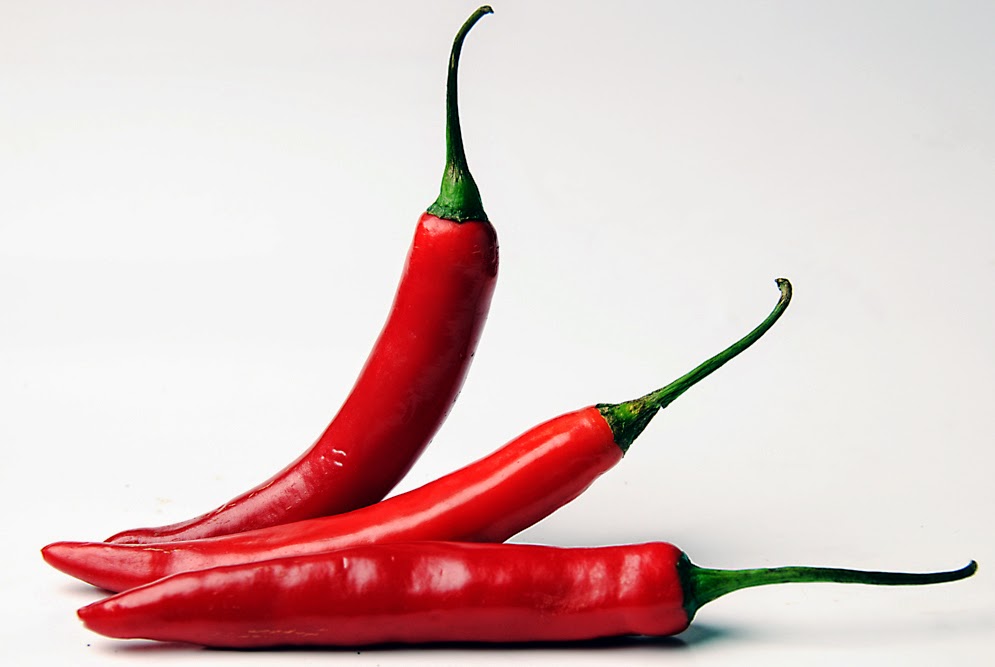 Video Usaha Tani Cabai (Cabe) ~ SUMBER INFORMASI DUNIA USAHA