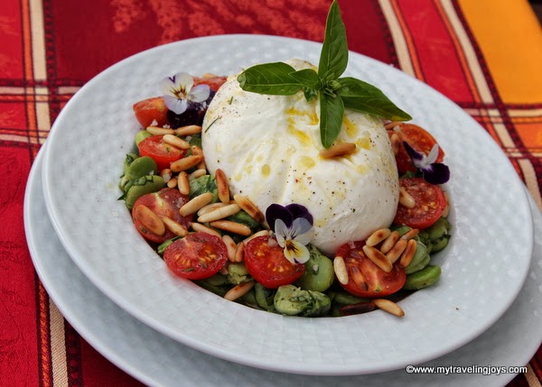 Polish Bób (Fava Beans) and Burrata Salad ~ My Traveling Joys