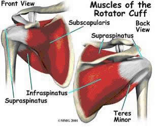 Tom's Physiotherapy Blog: Preventing Rotator Cuff Injuries: Advice and ...