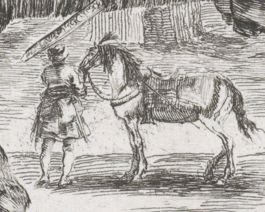 Kadrinazi: Koń gniady turecki, kulbaka i rządzik