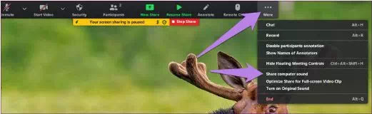 Cara Share Video Audio di Zoom Meeting - Brankaspedia - Blog tutorial ...