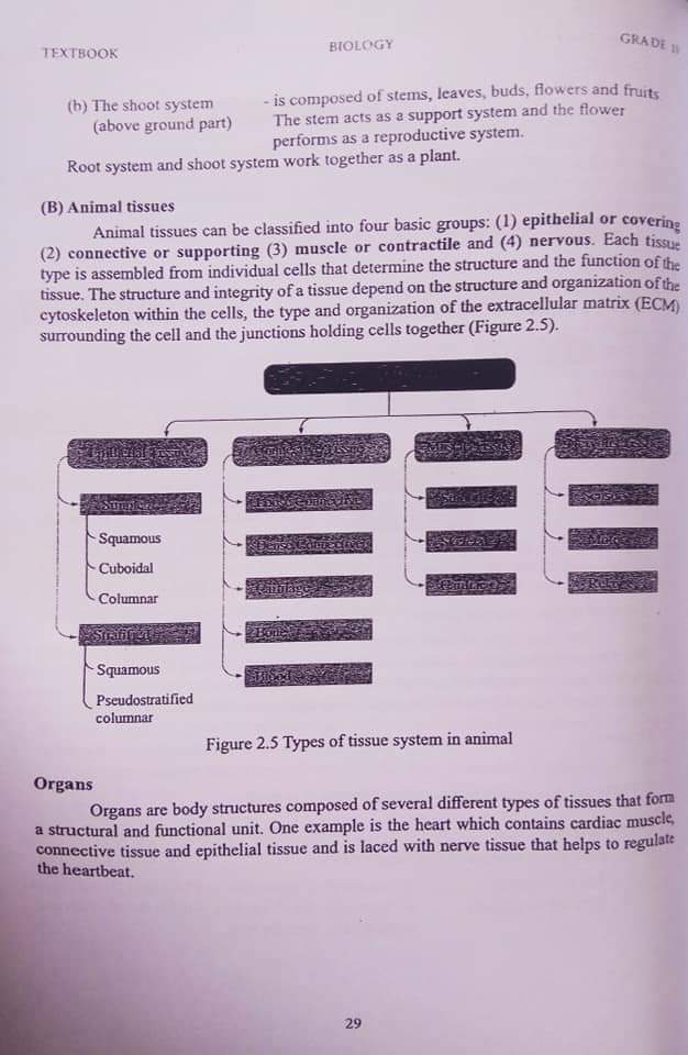 Edu Grade 7 သတ္တမတန်းသင်ရိုးသစ် အင်္ဂလိပ်စာ