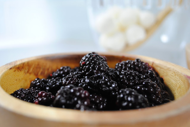 Sweet State of Mine: Alaska - Akutaq / Eskimo Ice Cream