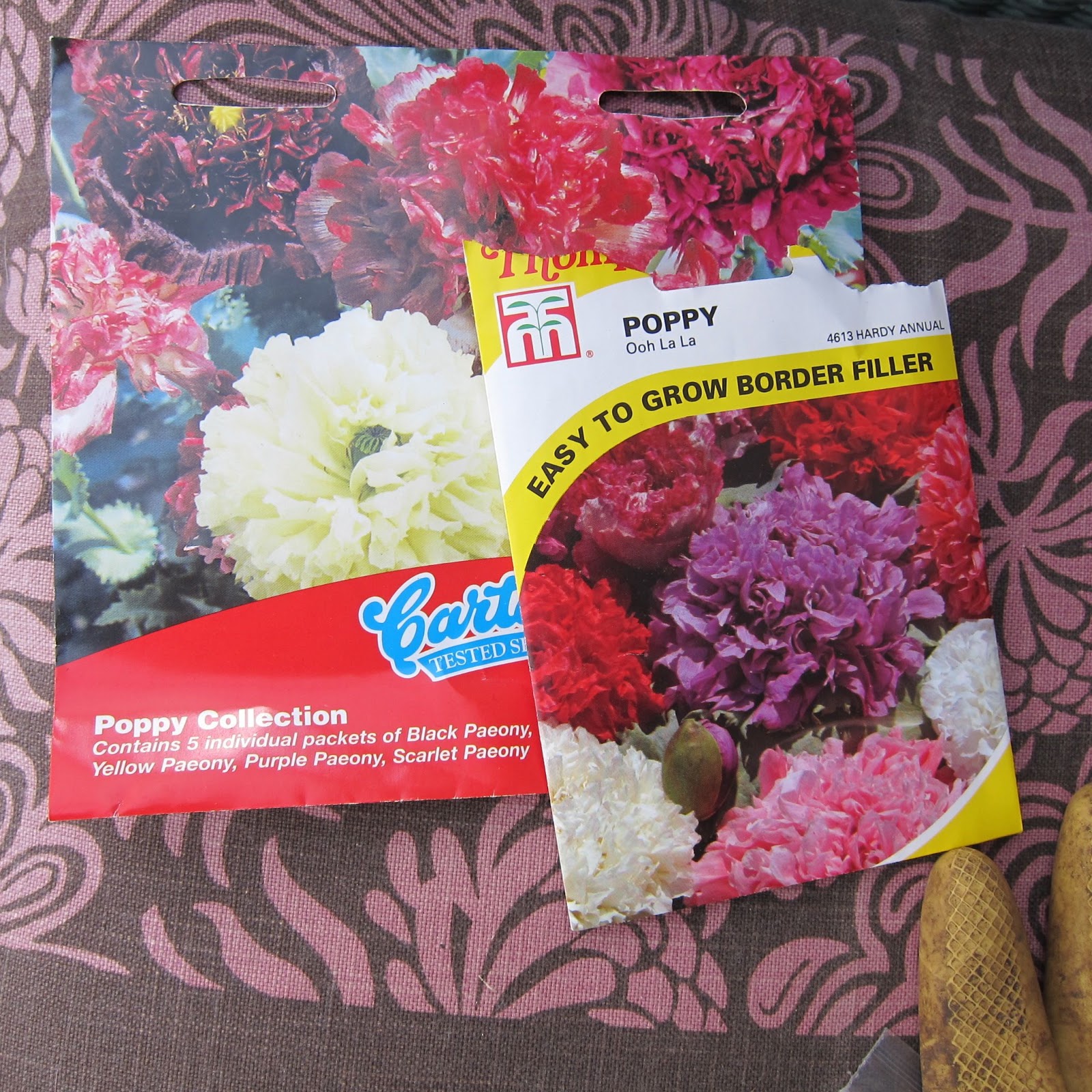 New shoots - biopic of a rebellious English garden...: Frilly pink ...