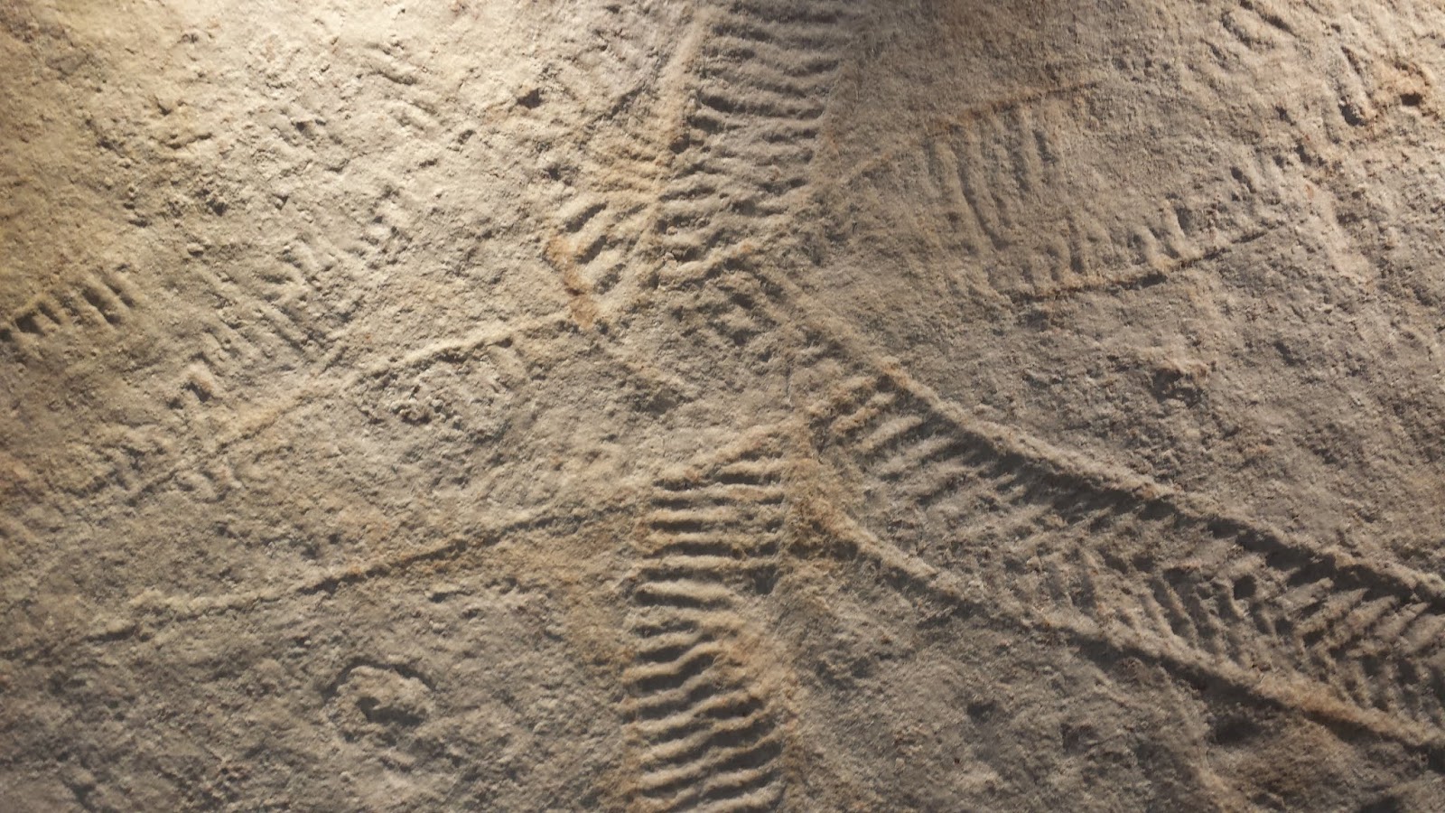 Track, Trail dan Burrow ~ NeededThing