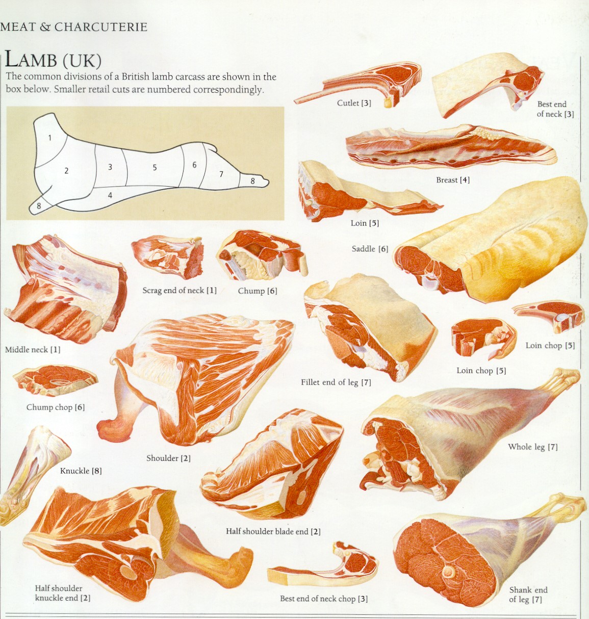 All Notes Of IHM Hamirpur, Himachal Pradesh: Bsc 2nd semester Meat ...