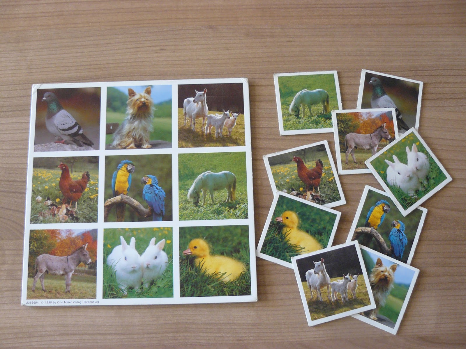 Les p'tits bouts de Lilou: Loto bébé animaux