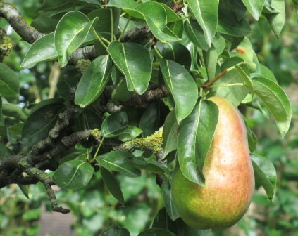 musings n waffle: 2013