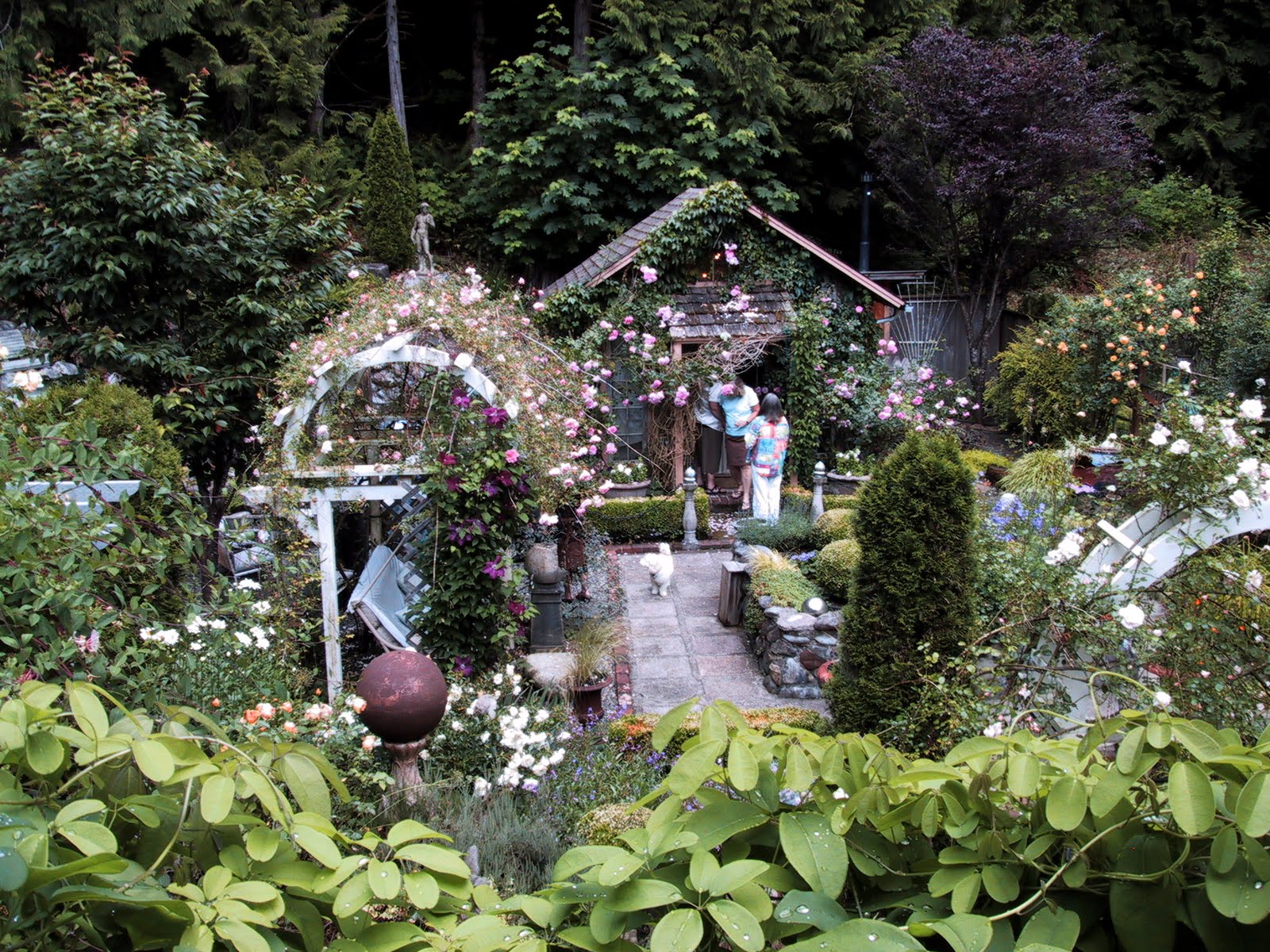 ORMOLULU: . . . . . Dancing by *Moon* Light