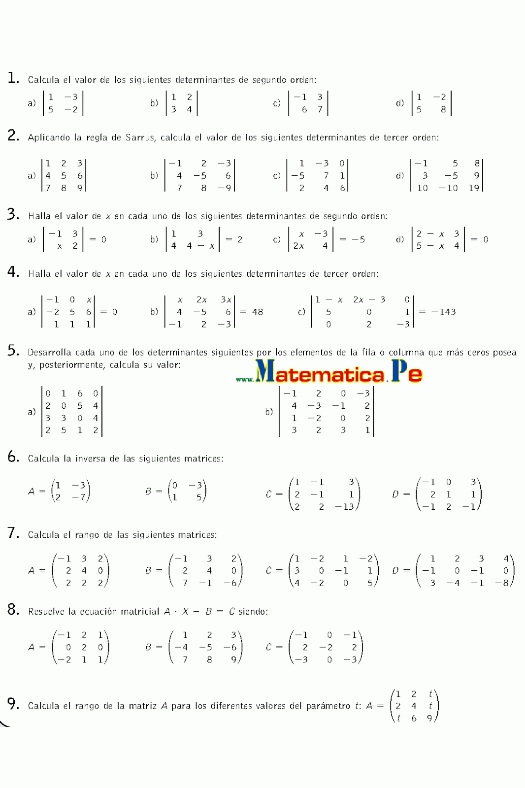 DETERMINANTES MATEMÁTICAS 2 BACHILLERATO EJERCICIOS RESUELTOS PDF