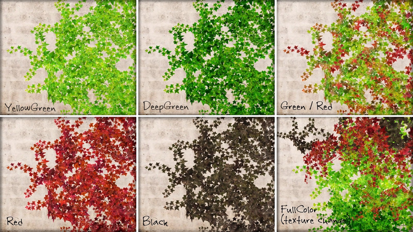 ::frog's garden::: [new] Ivy 5colors