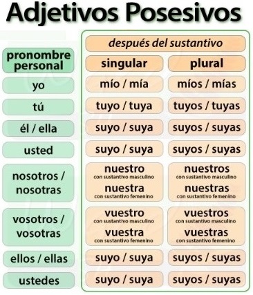 Aprende Español con Pepe: Adjetivos posesivos