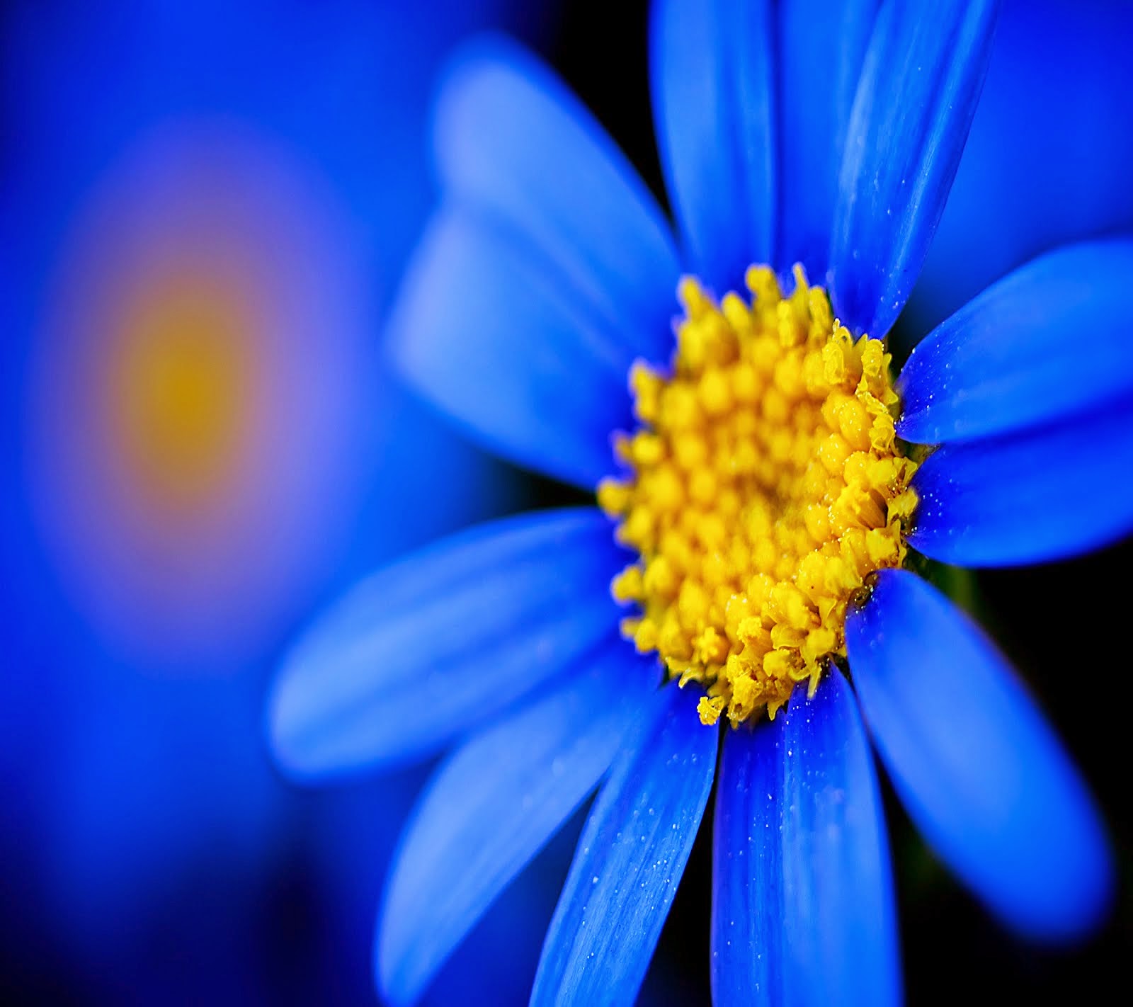 yazmin tapia : luchas de clases