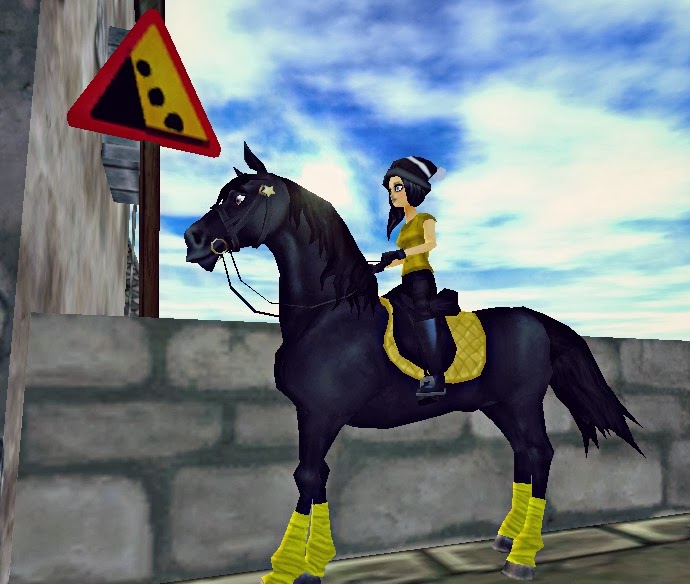 Holly's SSO life: tammikuuta 2014