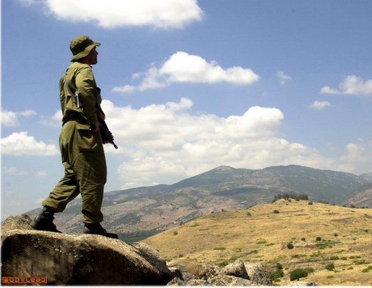 O Poder das Palavras: Sentinela da Manhã!