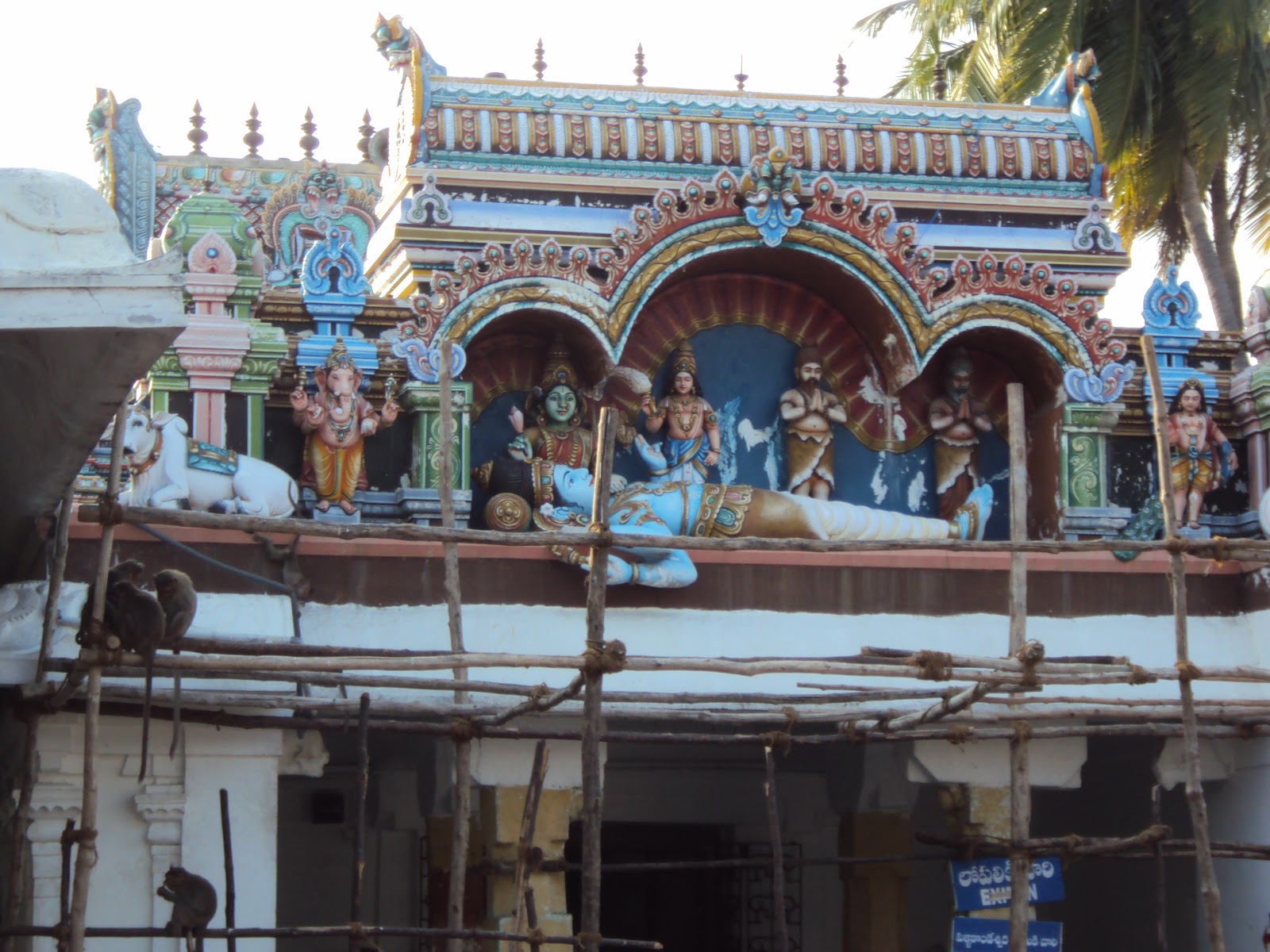 Goopuram: PALLIKONDESWARA SWAMY TEMPLE, SURUTAPALLI