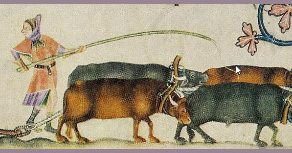 S T R A V A G A N Z A: CATTLE IN THE MIDDLE AGES